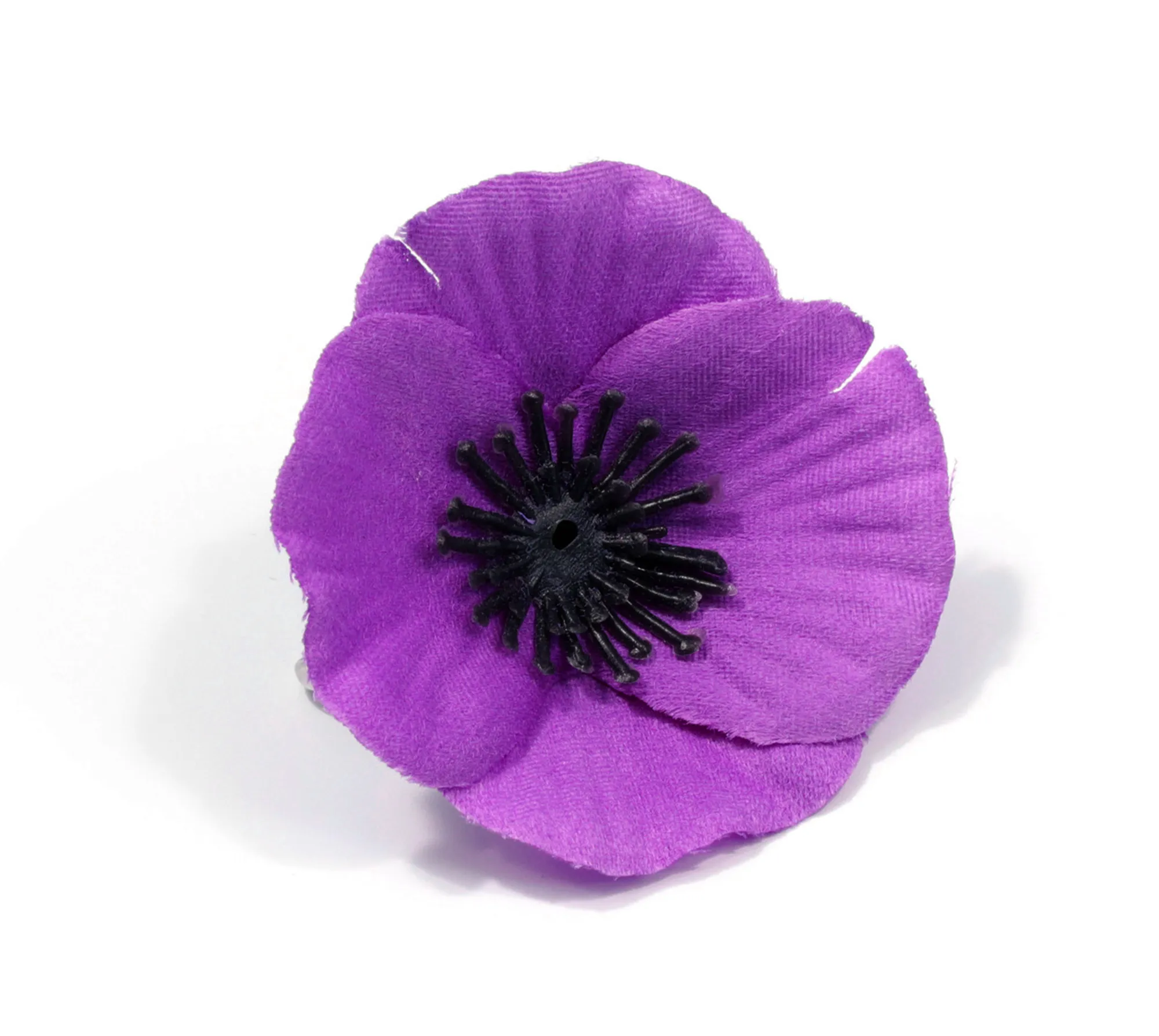 2024 $2 AlBr "C" Mintmark War Animals Remembrance (Purple Poppy ...